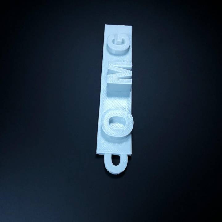 3D Printable OMG key chain by Billy bob bogus