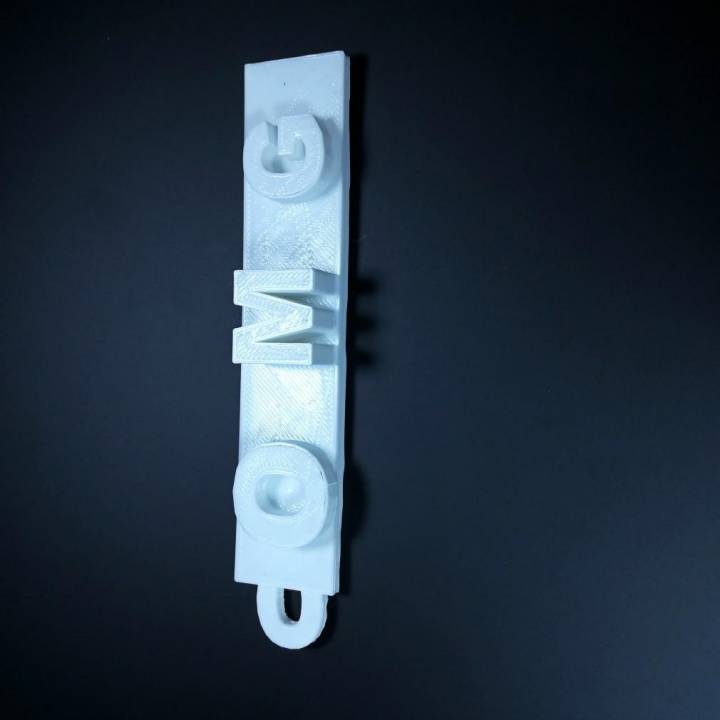 3D Printable OMG key chain by Billy bob bogus