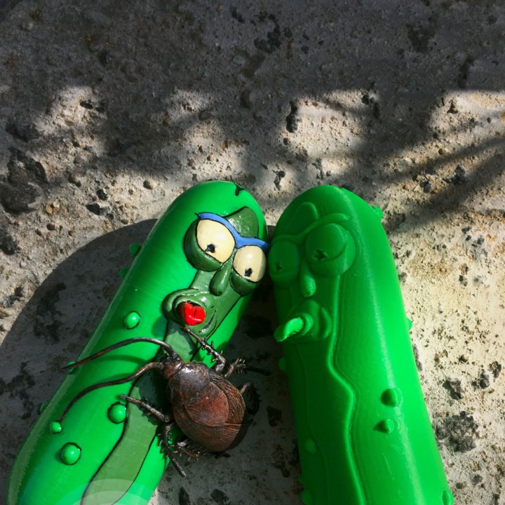 3D Printable Pickle Rick 4 - The Cockroach Catcher by Jon Cleaver