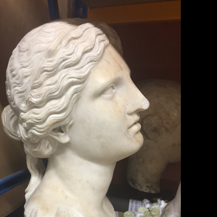 3D Printable Head of Niobe by Musée Saint-Raymond
