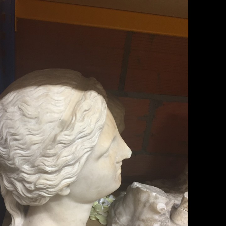 3D Printable Head of Niobe by Musée Saint-Raymond