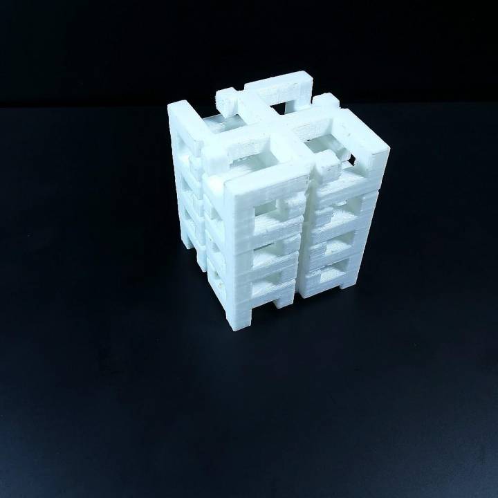 3D Printable Myinifactory-flex3D Challenge by Andrew Sabol