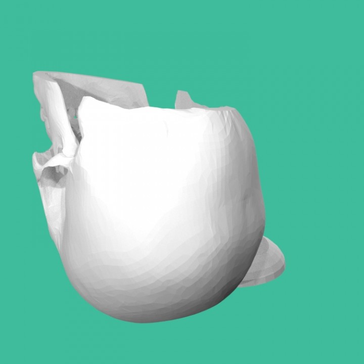 3D Printable Skull Candy Bucket by Brendon