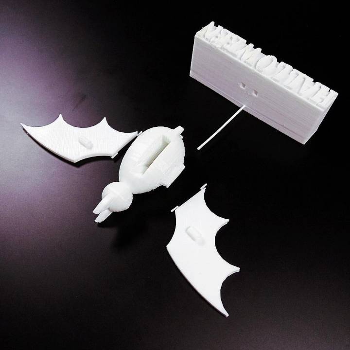 3D Printable Halloween Bat by monithemonkey