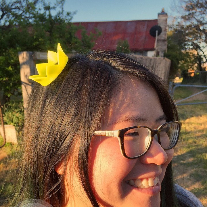 3D Printable Jughead's Crown - A Tiny Hair Piece by Jon Cleaver