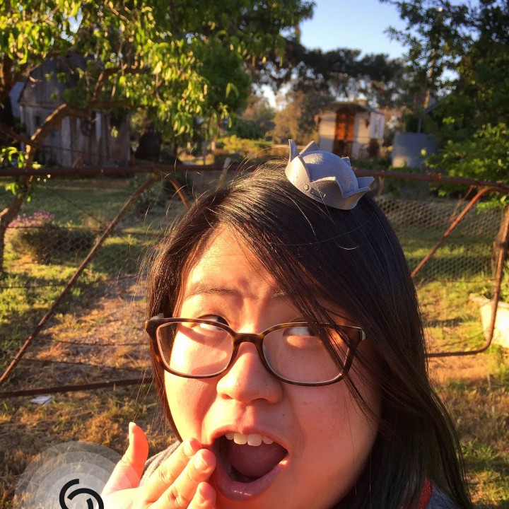 3D Printable Jughead's Crown - A Tiny Hair Piece by Jon Cleaver