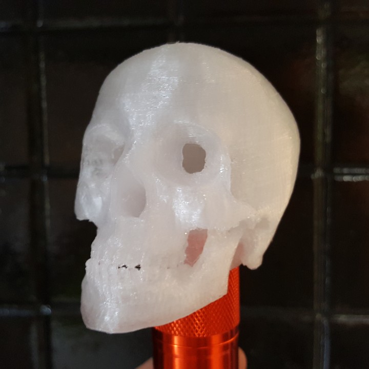 3D Printable Skull mini flashlight topper by Jason Hamilton