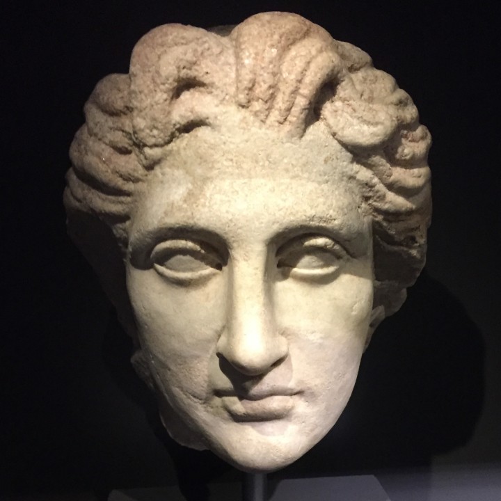 3D Printable Head of Alexander the Great by Scan The World