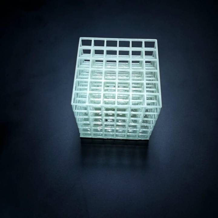 3D Printable flexible cube by Matthew Axel Garcia Borboroglu