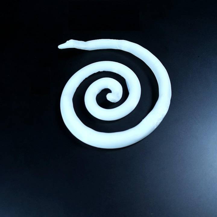 3D Printable snake in a coil by Joseph Zappala