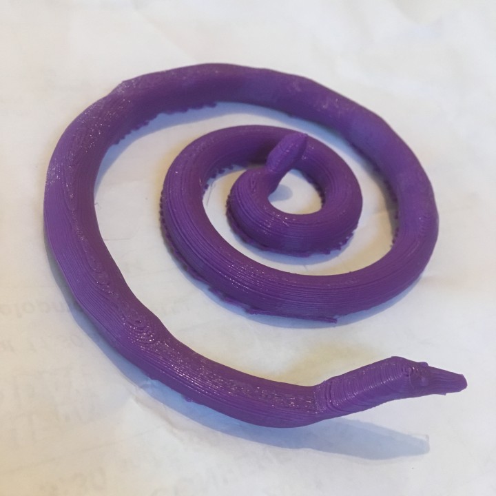 3D Printable snake in a coil by Joseph Zappala
