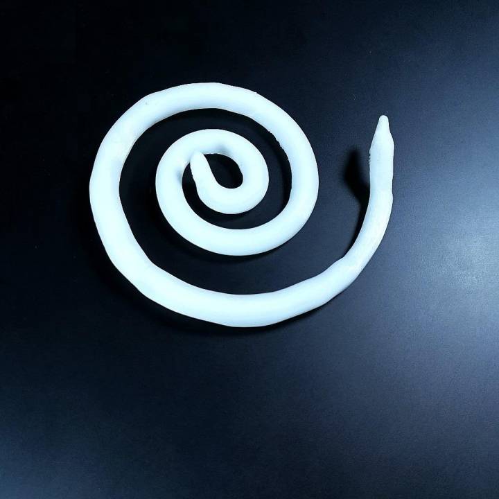 3D Printable snake in a coil by Joseph Zappala