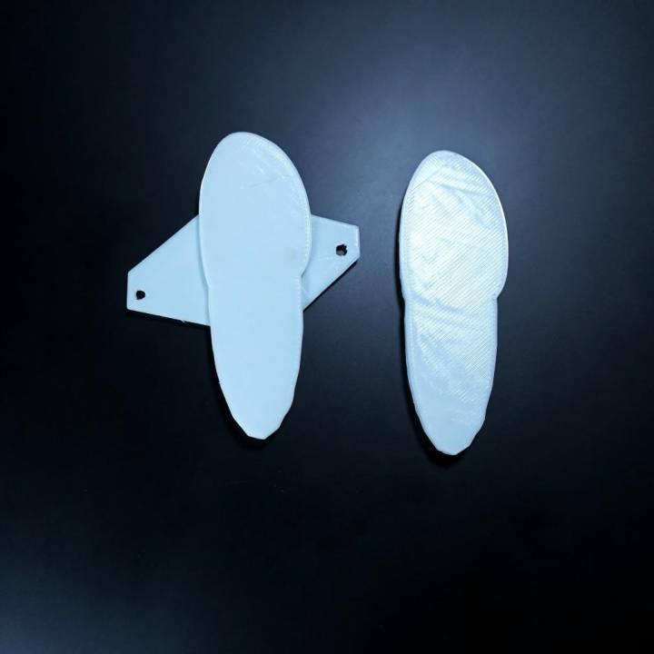 3D Printable 2 shoes design by Ethan Anna