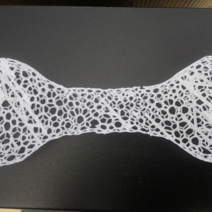 3D Printable The Bone by Tinwest3d