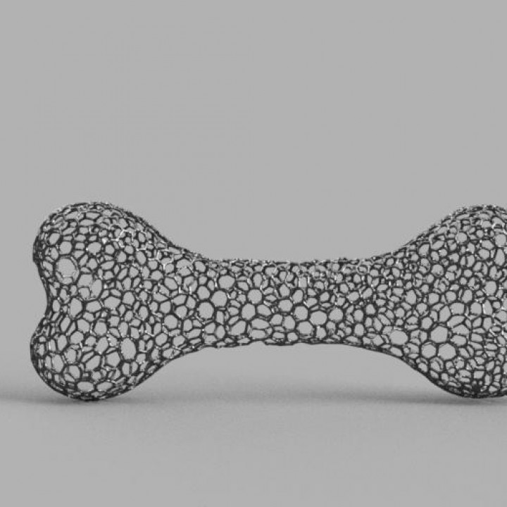 3D Printable The Bone by Tinwest3d