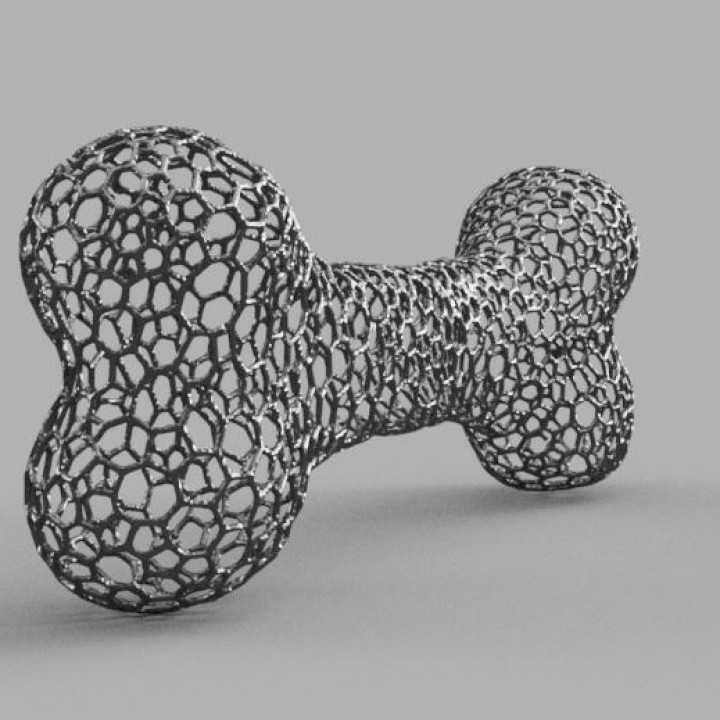 3D Printable The Bone by Tinwest3d