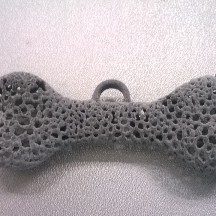 3D Printable The Bone by Tinwest3d