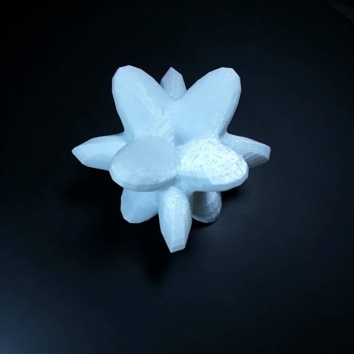 3D Printable Mathematical object by RigTig