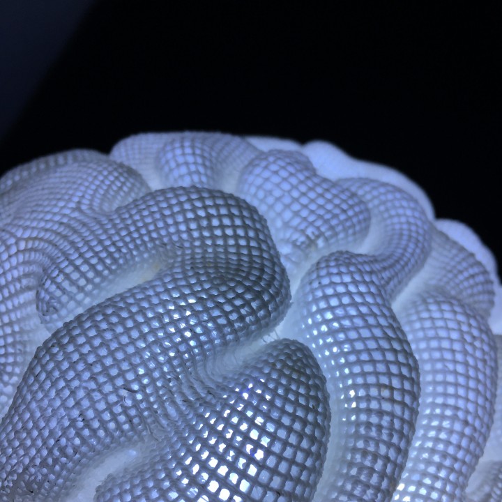 3D Printable Radiant Brain from MRI by Create Cafe 3D Printing ...