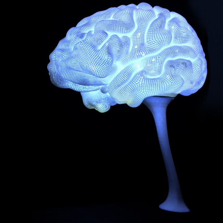 3D Printable Radiant Brain from MRI by Create Cafe 3D Printing ...
