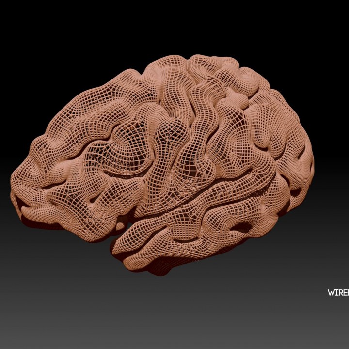 3D Printable Radiant Brain from MRI by Create Cafe 3D Printing ...