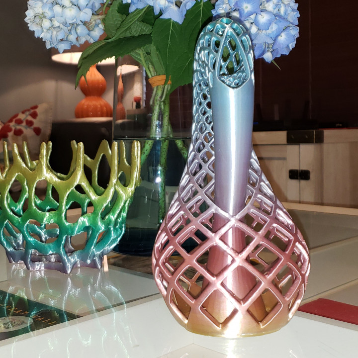 3D Print of Klein Vase by Shahan