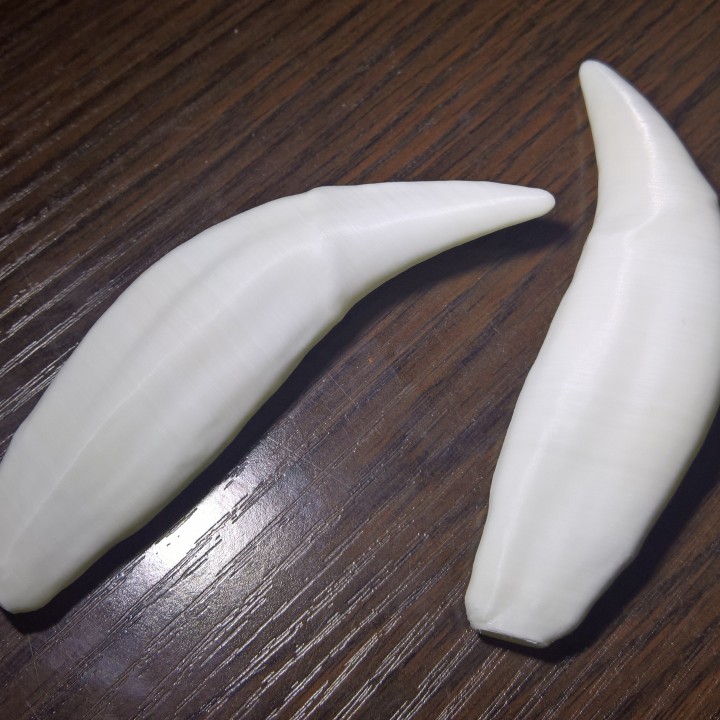 3D Printable Bear tooth by Gyorg Yusupov