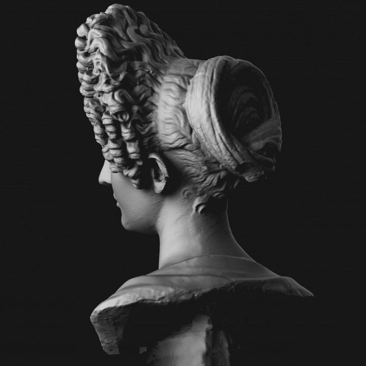 3D Printable Portrait Bust of a Flavian Woman, The "Fonseca Bust" by ...