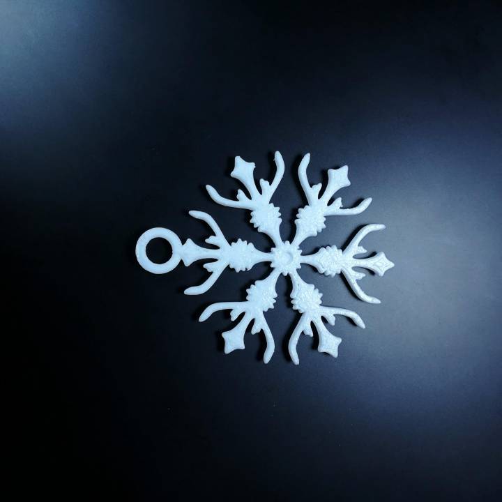 3D Printable Snowflake ornament by Peter Bock