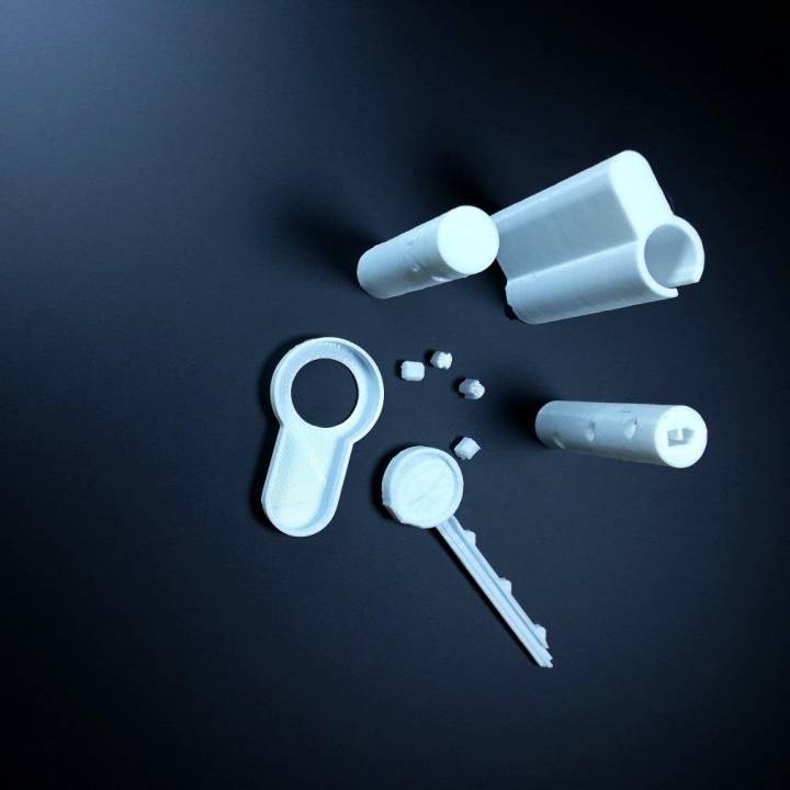 3D Printable Flexible Key and Curved Lock Channel by Nanek Ytrevel