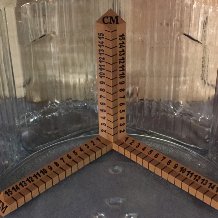 3D Printable Three Axis Ruler -Version Two by Star Labs 3D, LLC