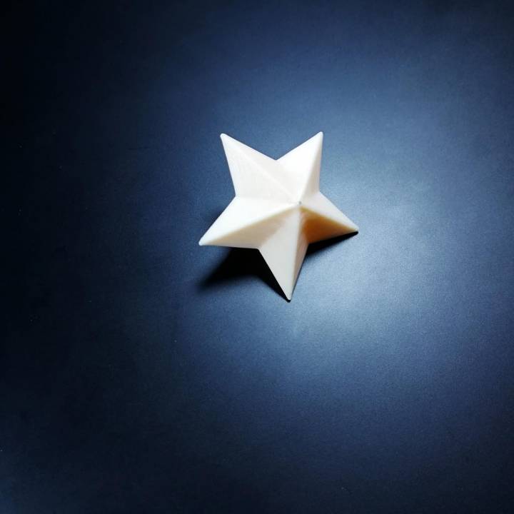 3D Printable Star Ornament by Amara Suehrstedt