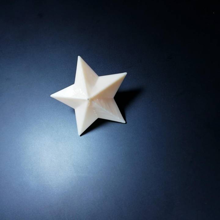 3D Printable Star Ornament by Amara Suehrstedt