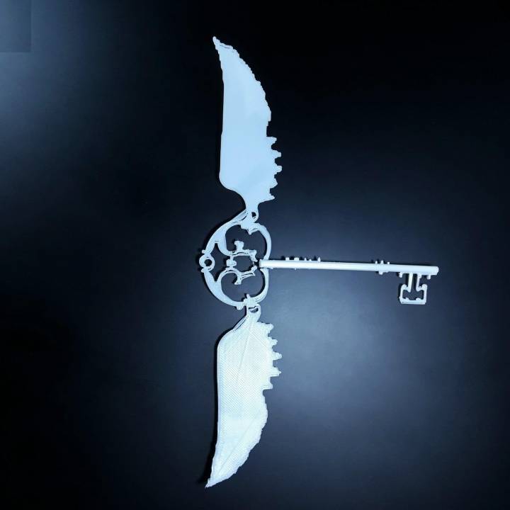 3D Printable Harry potter and key of secrets room by Guillaumeau Pierre