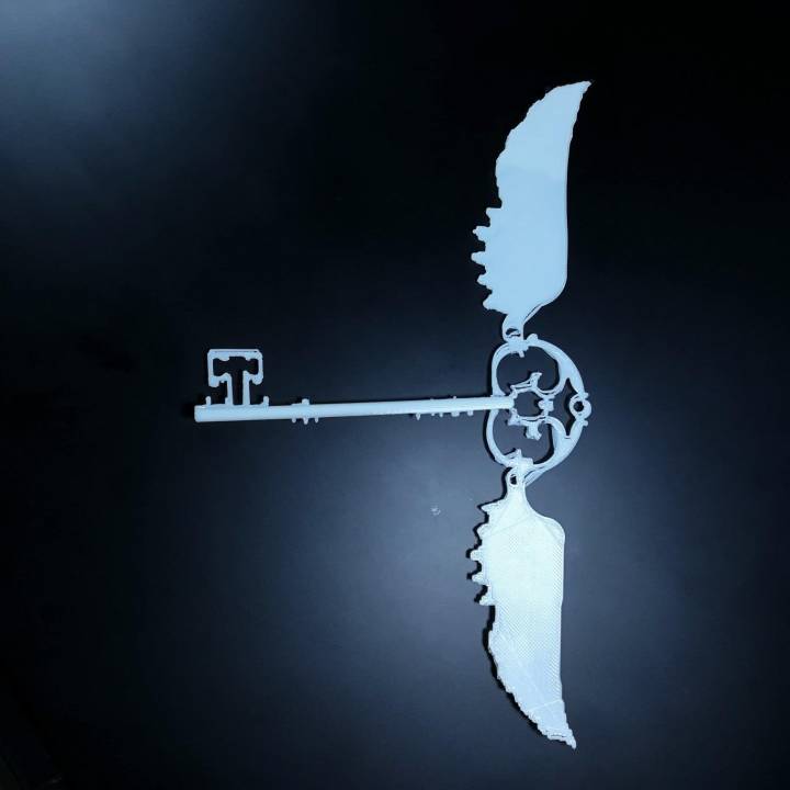 3D Printable Harry potter and key of secrets room by Guillaumeau Pierre