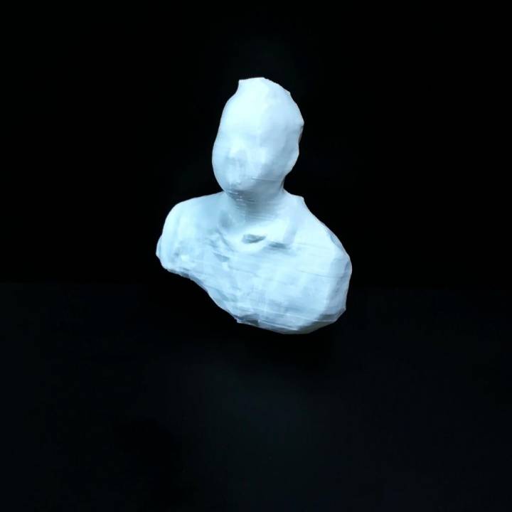 3D Printable Untitled 3D Scan 2017-11-27 by Benedict Chong