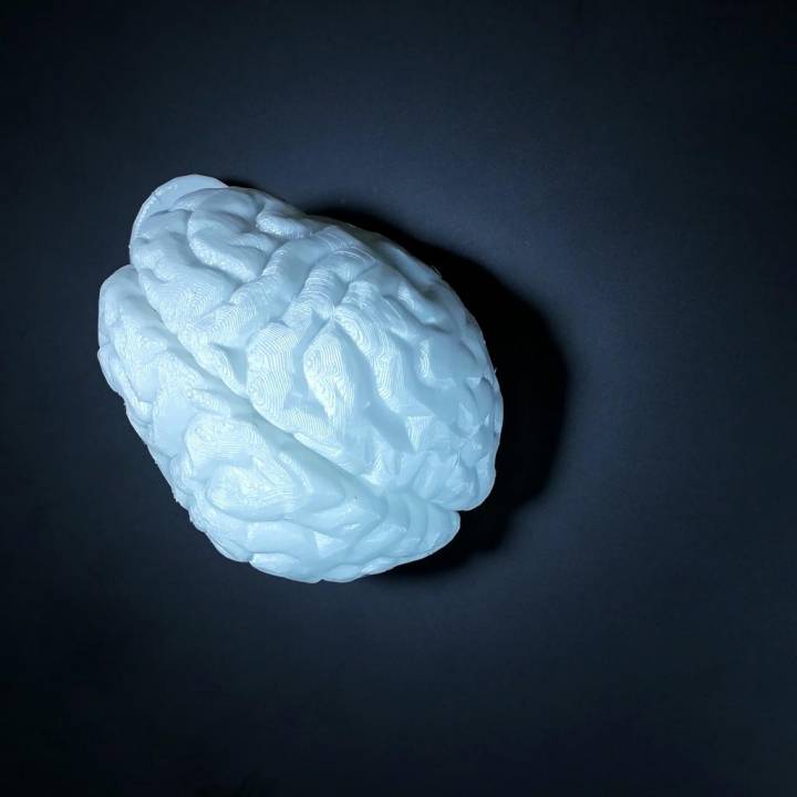 3D Printable Brain keychain by abstract corp