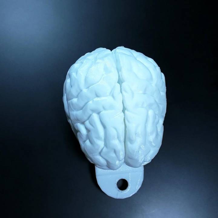 3D Printable Brain keychain by abstract corp