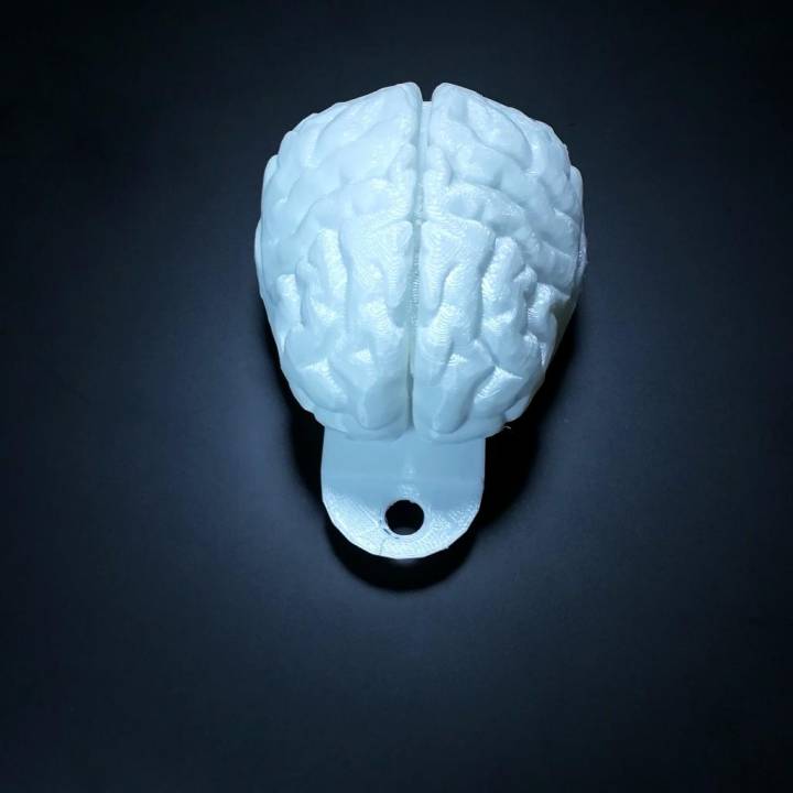 3D Printable Brain keychain by abstract corp