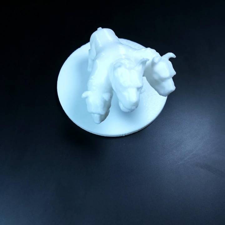 3D Printable Fluffy by Noah Lederman