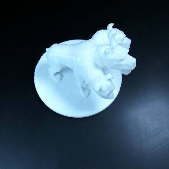 3D Printable Fluffy by Noah Lederman