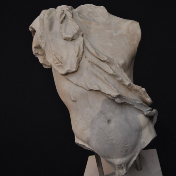 3D Printable Torso by Scan The World