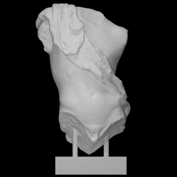 3D Printable Torso by Scan The World