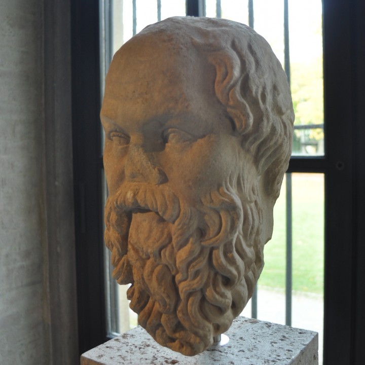 3D Printable Head of Socrates by Scan The World