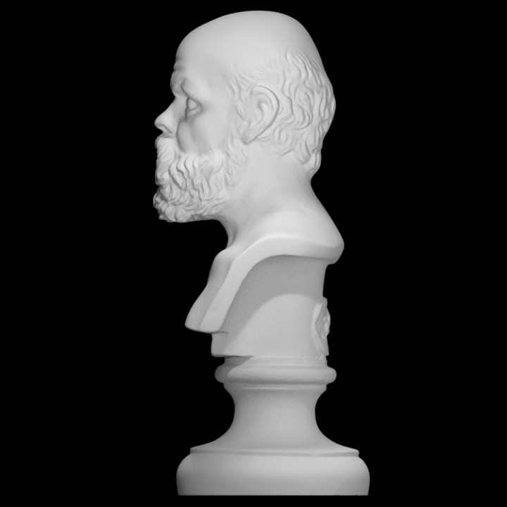 3D Printable Bust of Socrates by scan@think3d