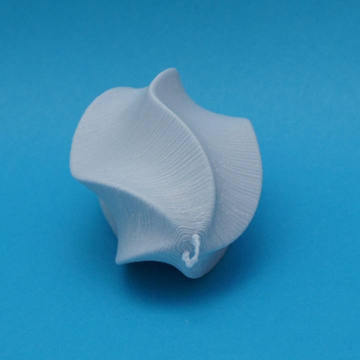 3D Printable Twirl 1 by Nikol Sisane