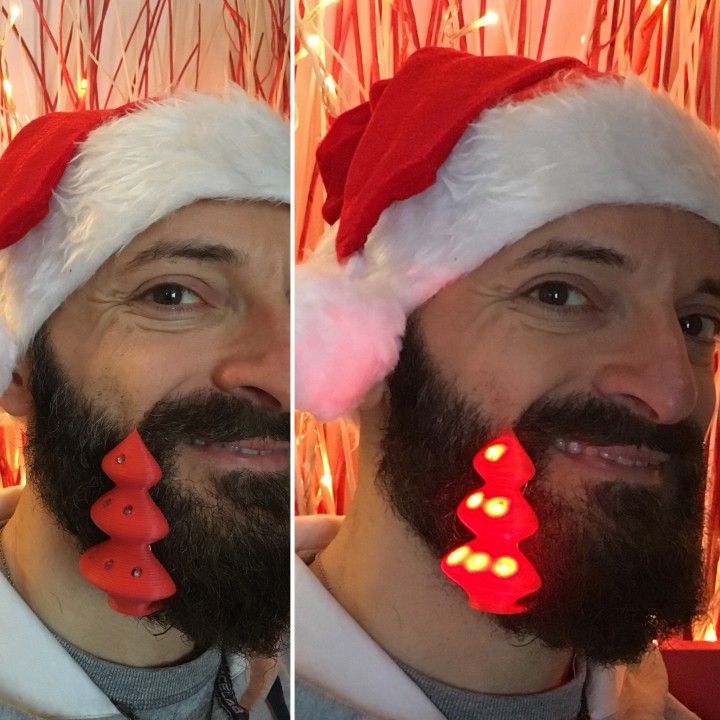 3D Printable Xmas_beard_tree by Mirco Rottermaier