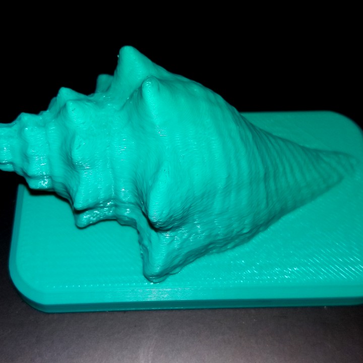 3D Printable Sea shell by 3Eixos LTDA