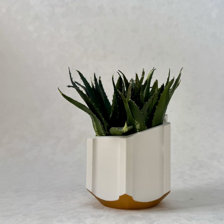 3D Printable Planter by Duncan Smith