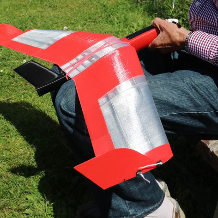 3D Printable Speedy "Red Swept Wing" RC by Michael Christou